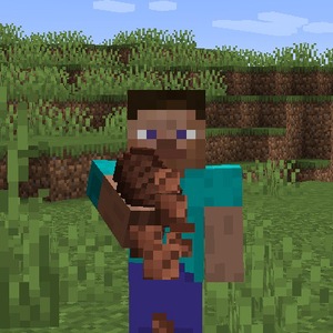 Мод Player Eating Animation для Minecraft 1.16.5 - 1.16.1